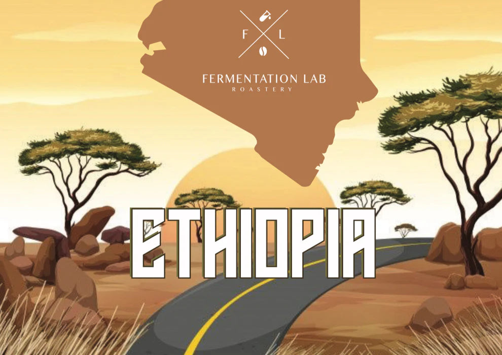 Guji -Filter Fermentation Lab Roastery – ALMENHAZ COFFEE SUPPLIES L.L.C